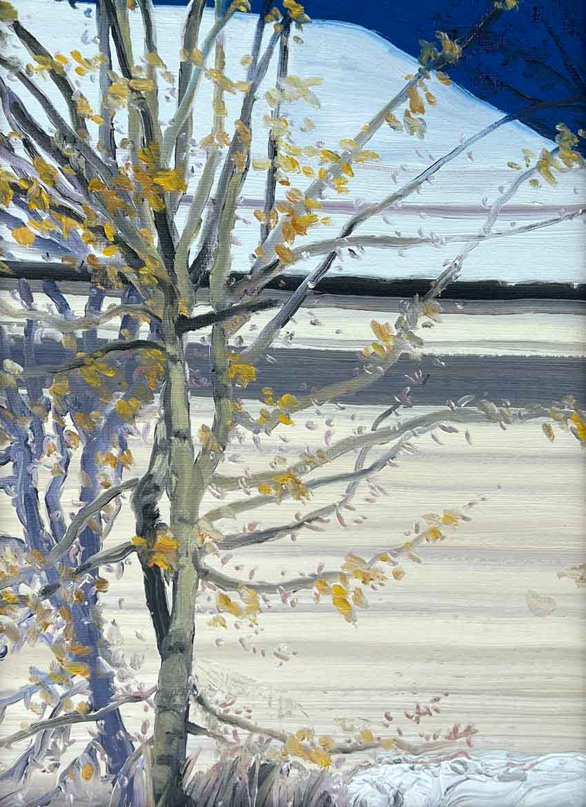 R. David Wilson - Dana Gallery